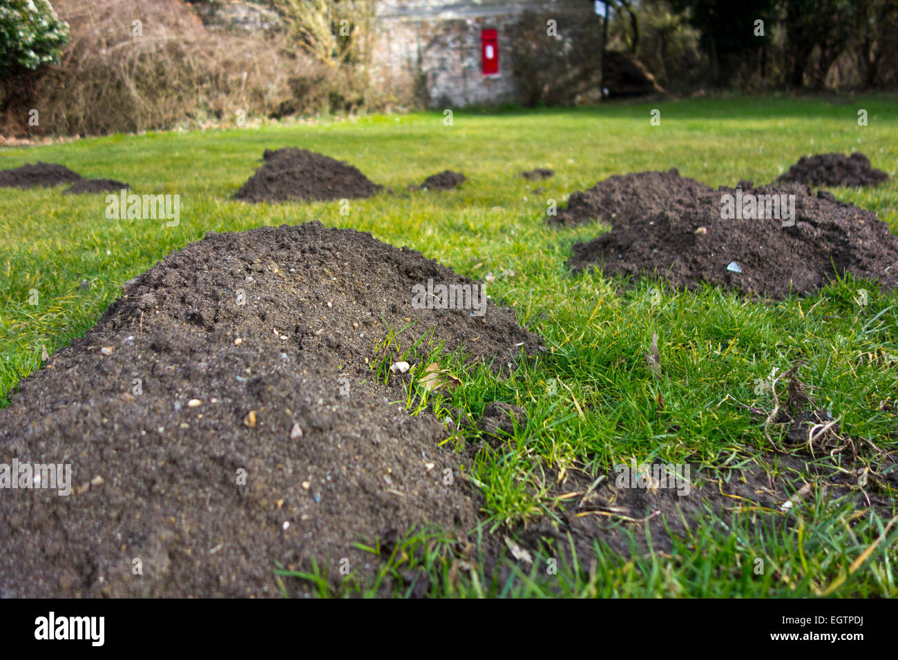 Molehill hi-res stock photography and images - Alamy
