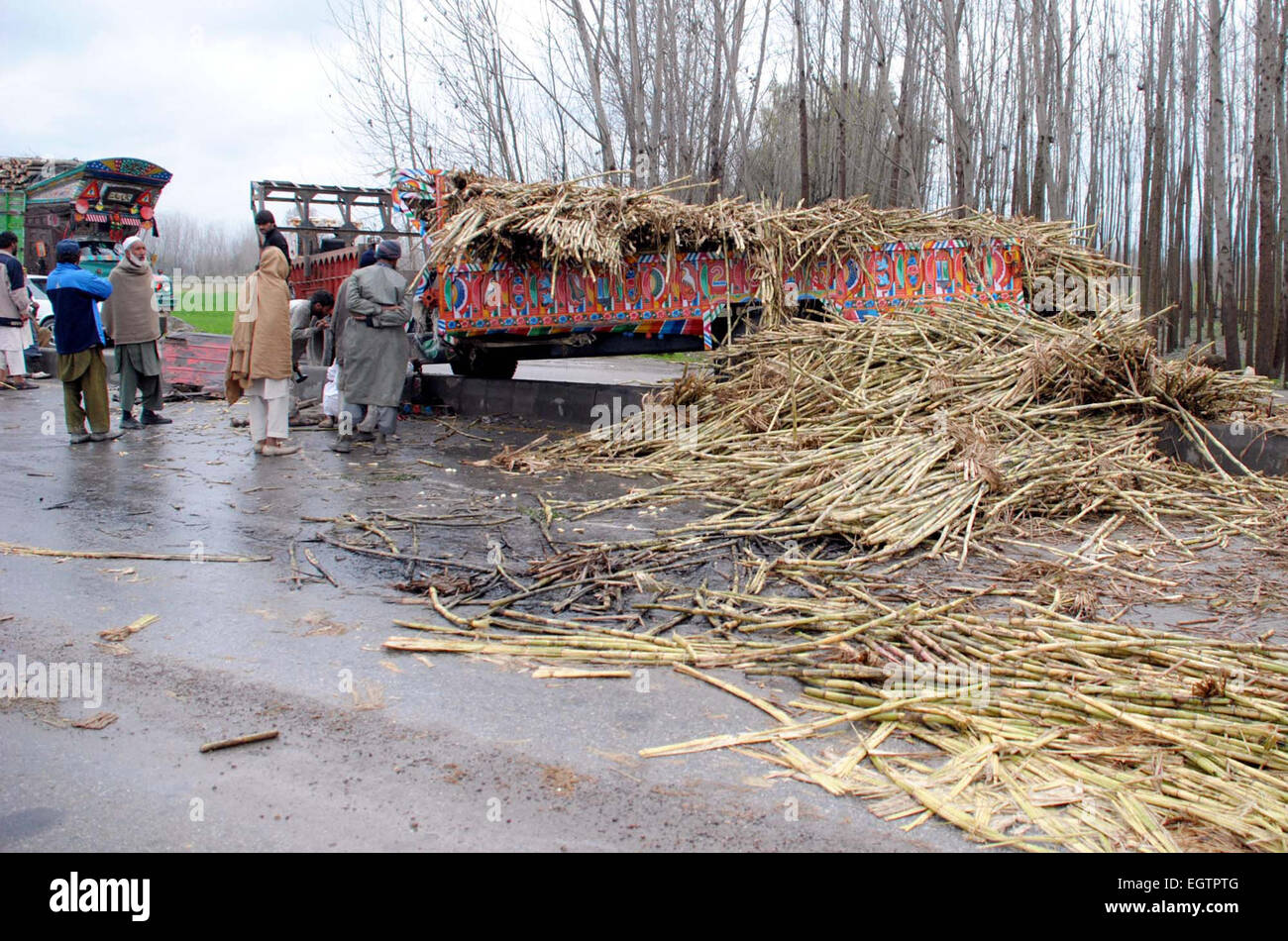 People gather at an overturned sugar-cane laden truck after traffic ...
