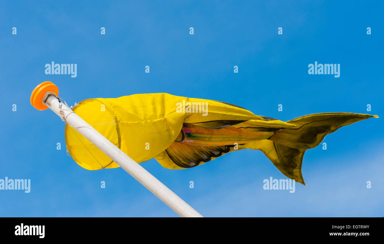 Yellow fish flag in the wind Stock Photo - Alamy