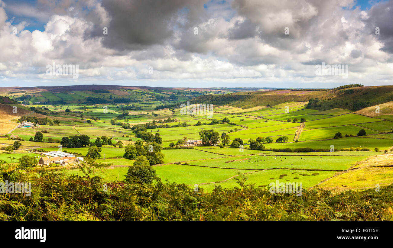 A view over Great Fryup Dale near Danby, North York Moors National Park ...