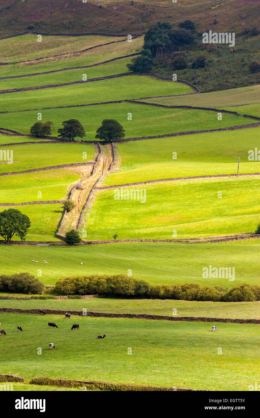 A view over Great Fryup Dale near Danby, North York Moors National Park ...