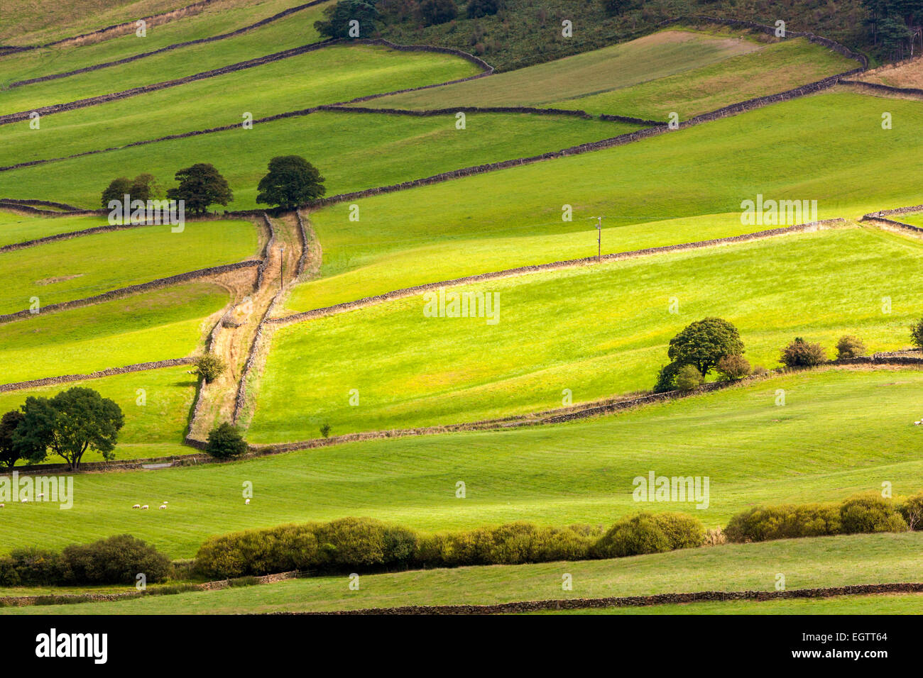 A view over Great Fryup Dale near Danby, North York Moors National Park ...