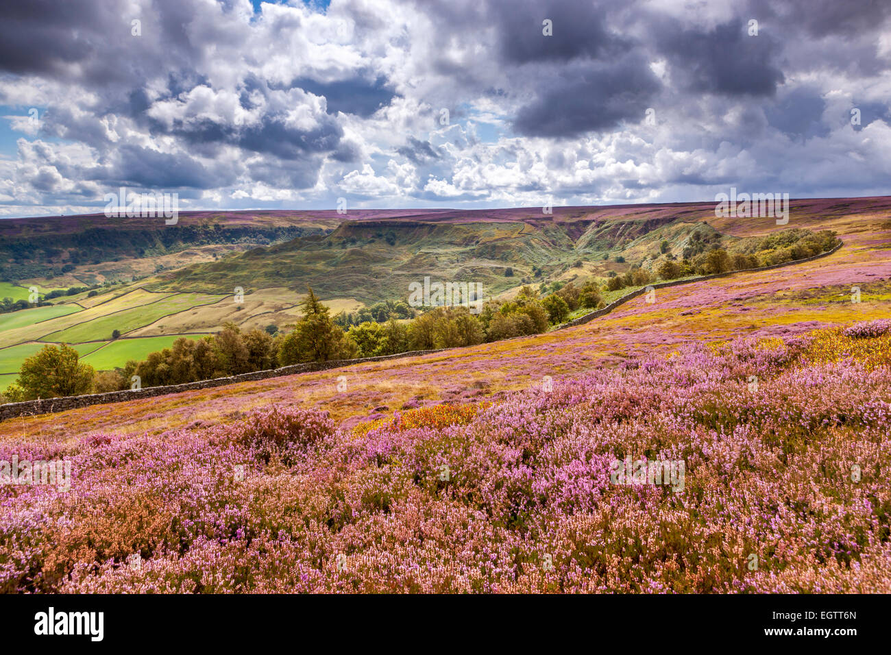 A view over Great Fryup Dale near Danby, North York Moors National Park ...