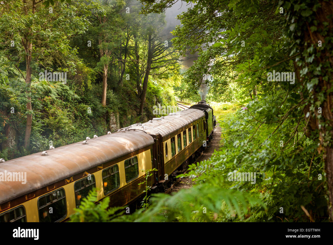 A steam locomotive 44806 (Magpie/Kenneth Aldcroft) on the North ...