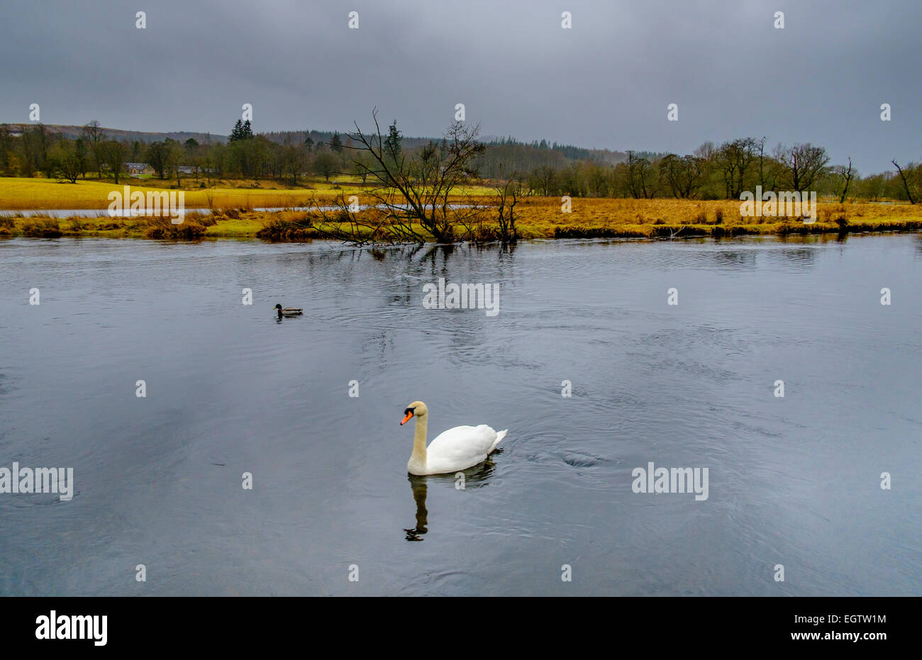 Callander scotland river teith hi-res stock photography and images - Alamy