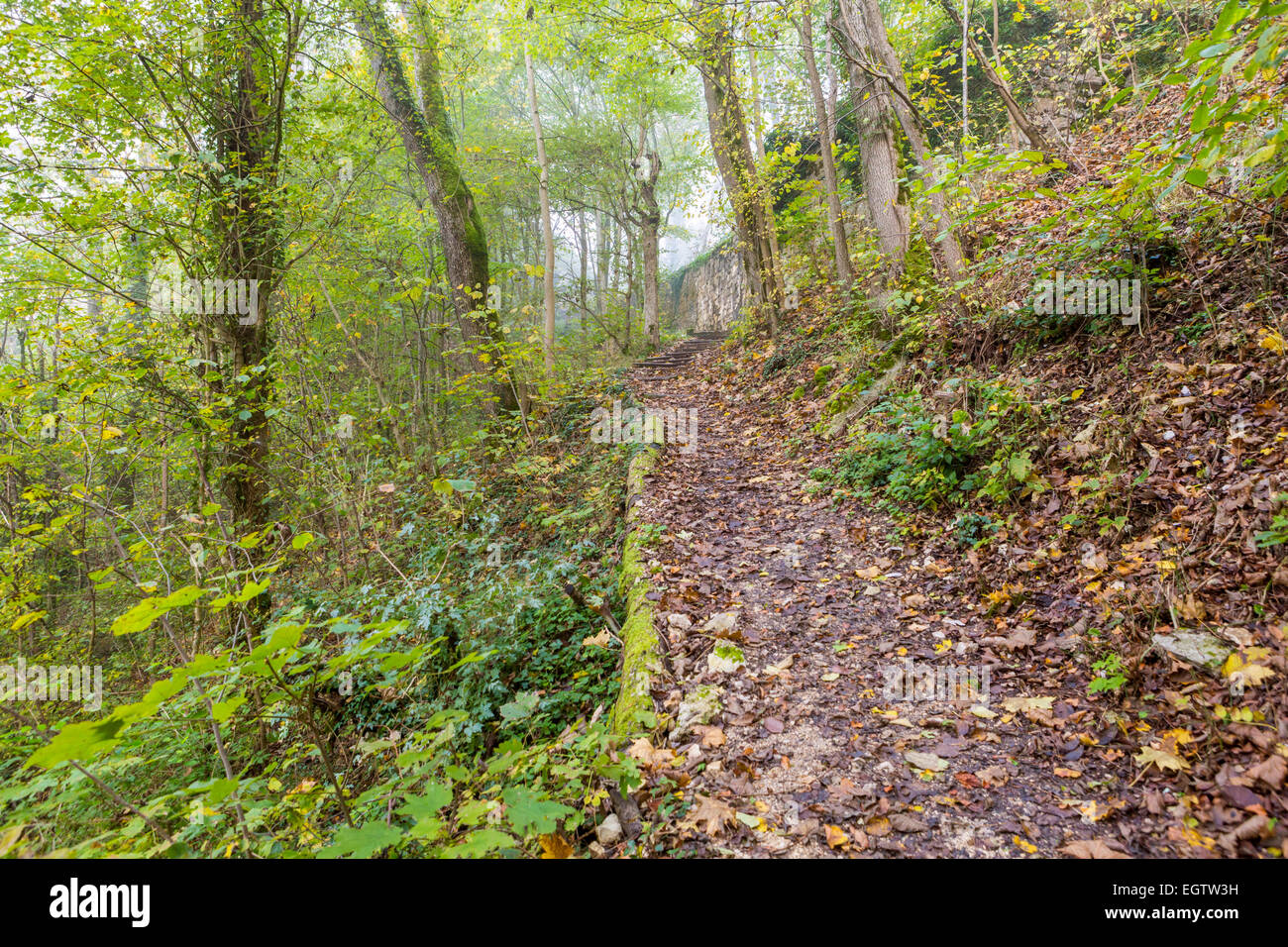 Falkenstein hi-res stock photography and images - Alamy