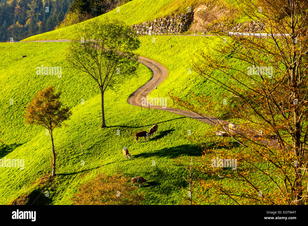 Emmental valley hi-res stock photography and images - Alamy