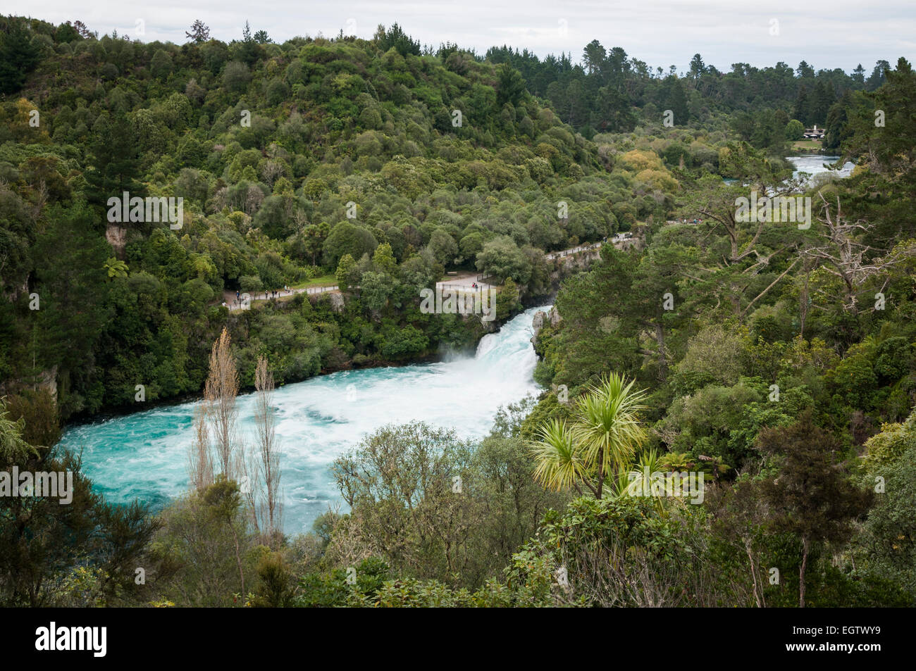 Waikato river hi-res stock photography and images - Alamy