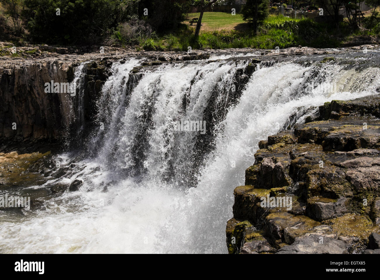 Hururu hi-res stock photography and images - Alamy