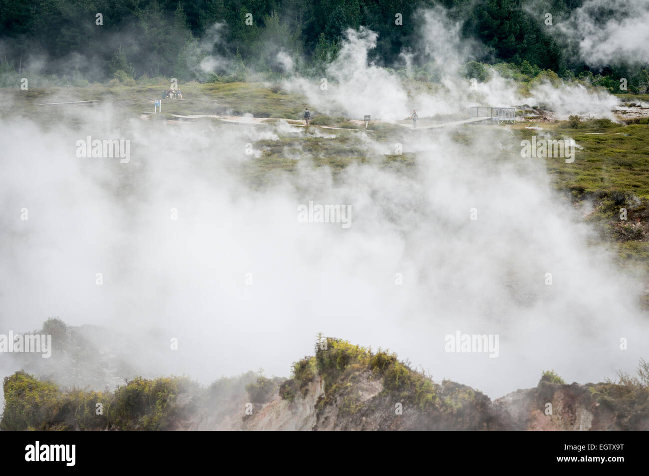 Craters of the Moon geothermal area, Taupo, Waikato, North Island, New ...