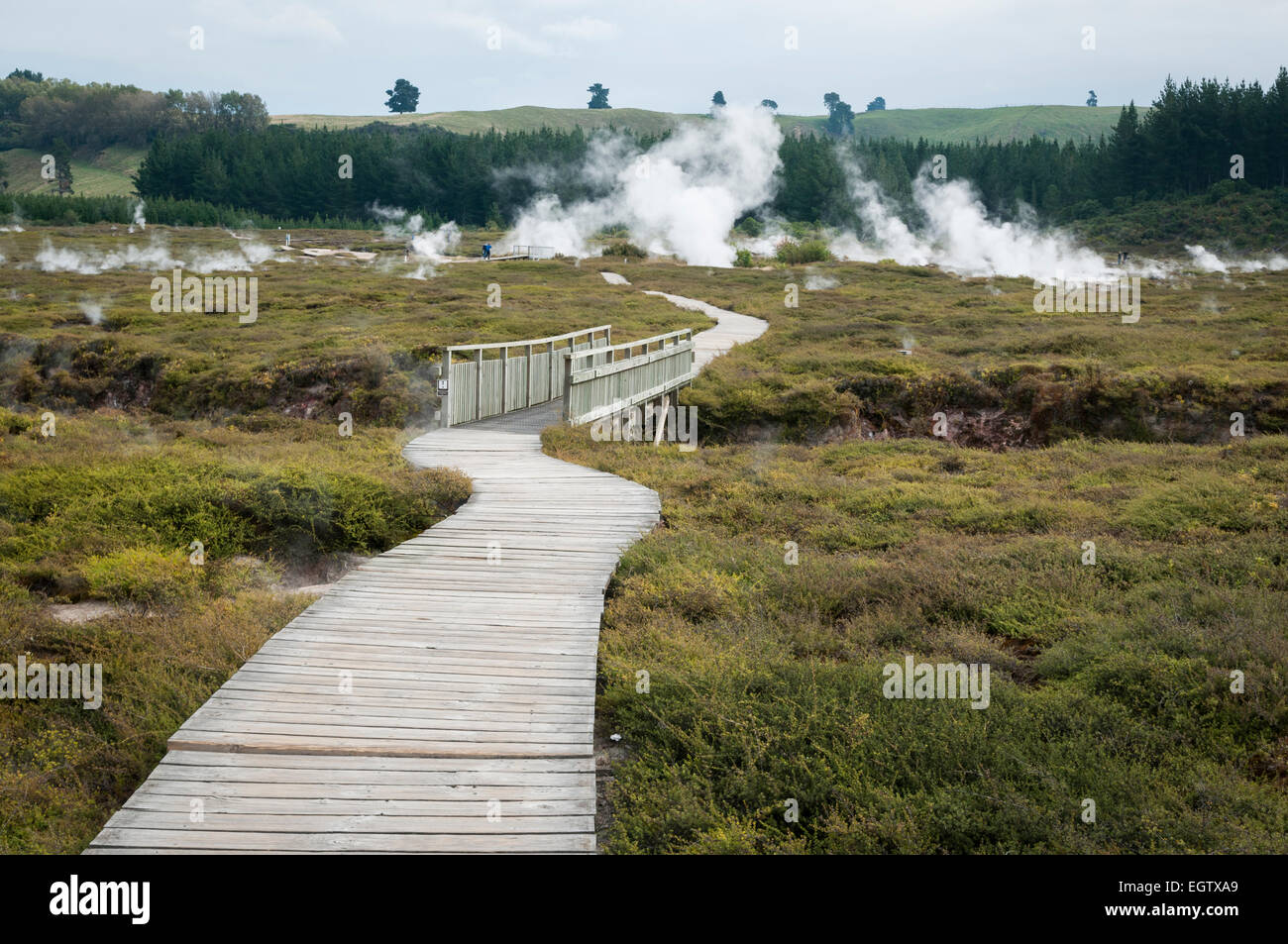 Craters of the Moon geothermal area, Taupo, Waikato, North Island, New ...