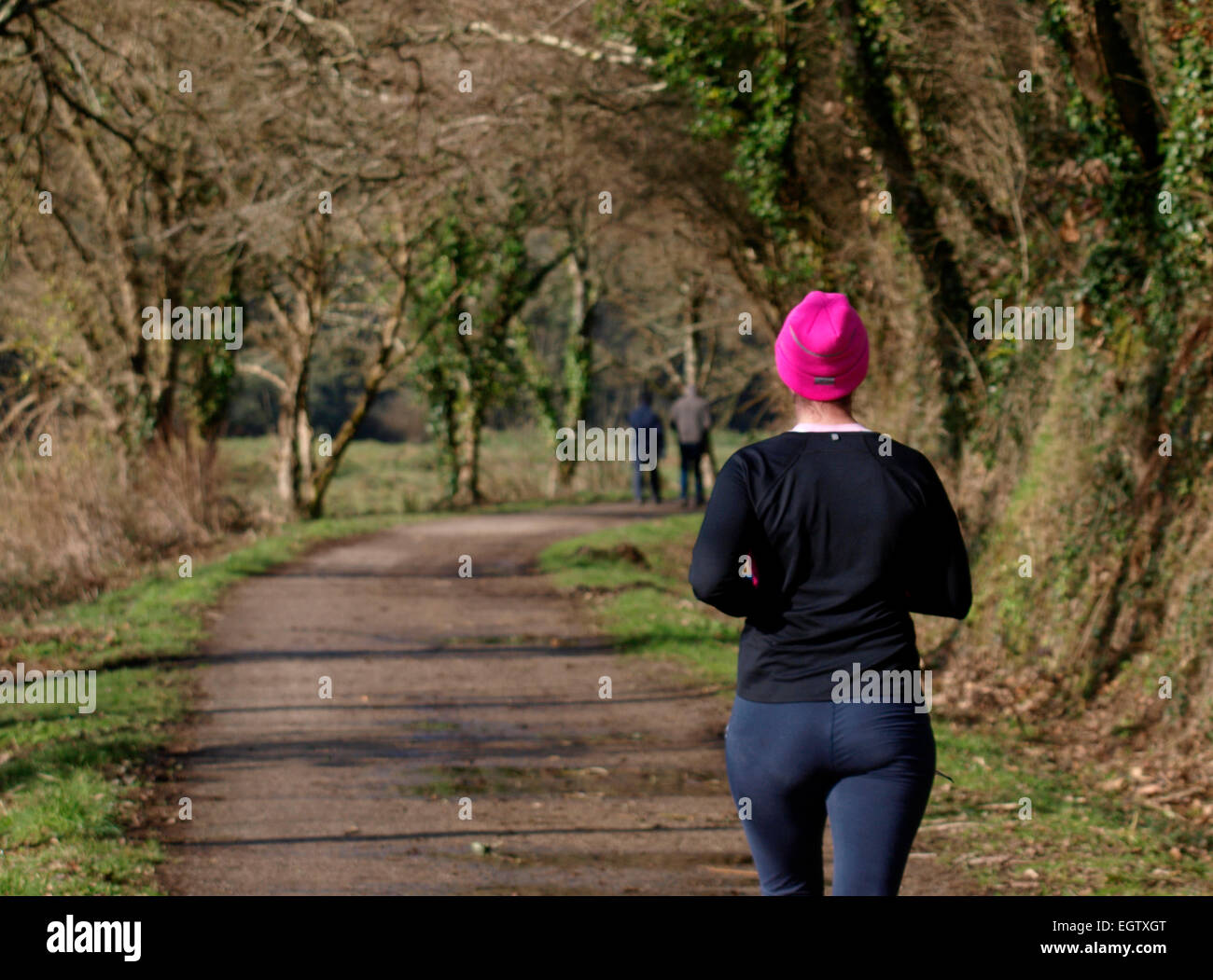 Female camel hi-res stock photography and images - Alamy