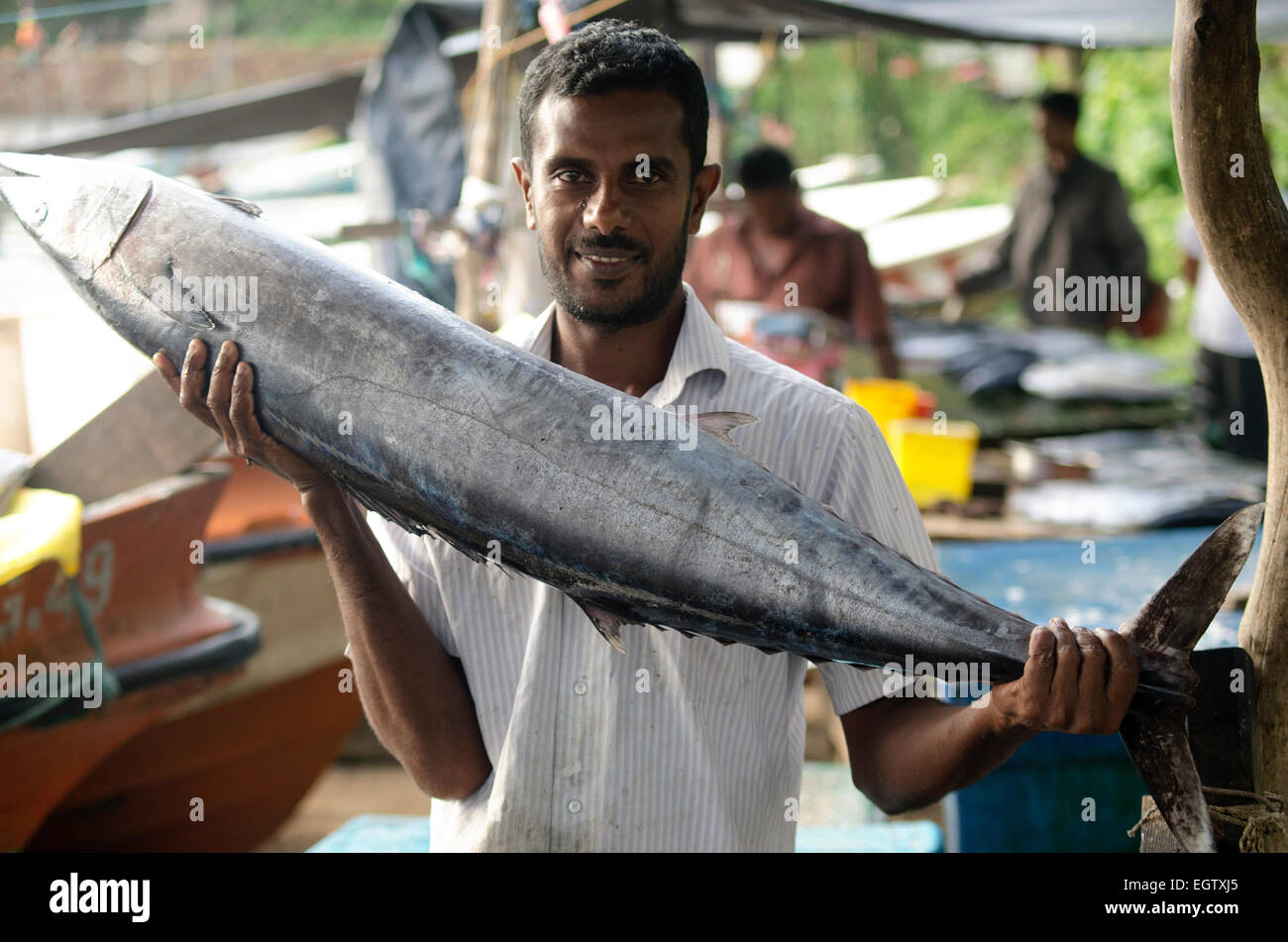 Fish market in Galle, Sri Lanka Stock Photo - Alamy