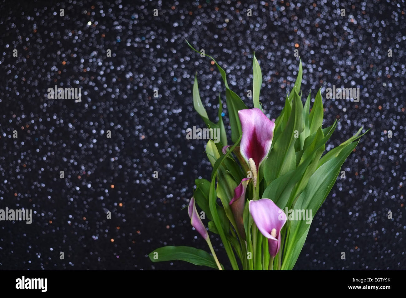 Bouquet calla lily flowers hi-res stock photography and images - Alamy