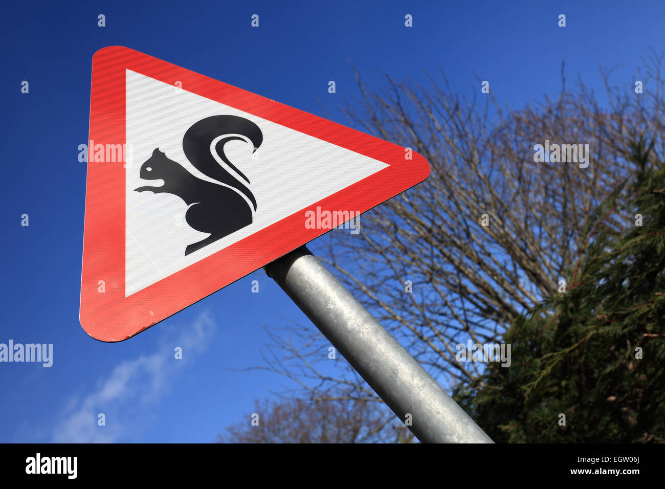 Squirrel warning sign hi-res stock photography and images - Alamy