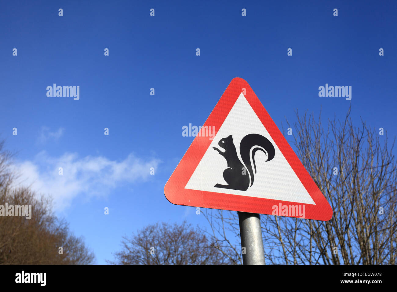 Red squirrel warning sign hi-res stock photography and images - Alamy