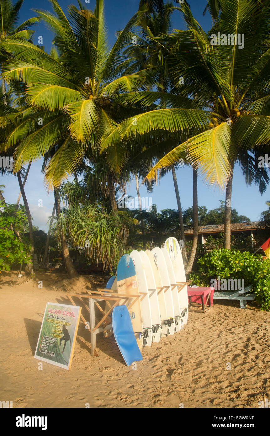 Surf boards on Mirissa beach, Sri Lanka Stock Photo - Alamy