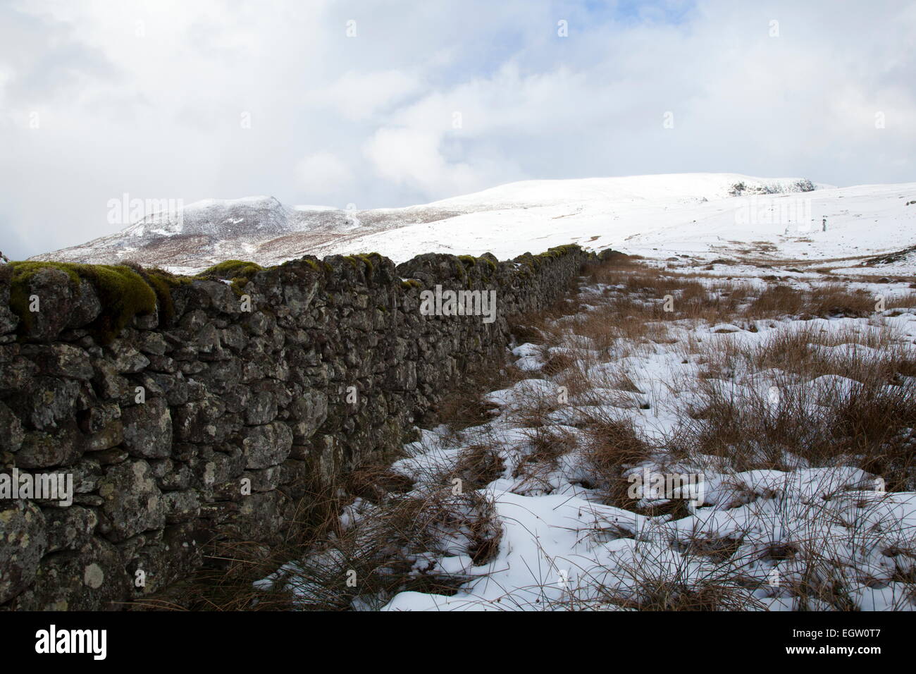 Arenig fach hi-res stock photography and images - Alamy