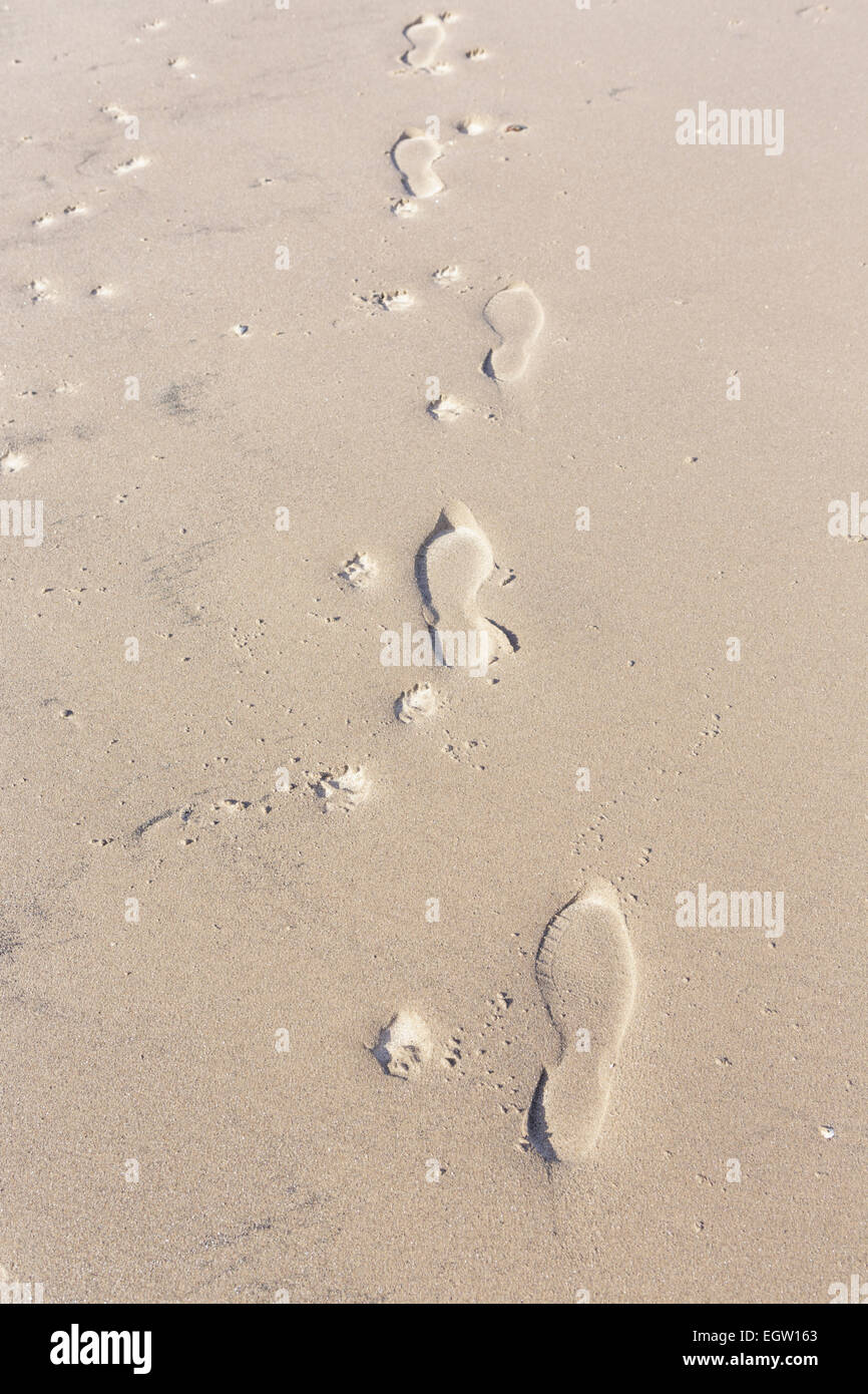 Footsteps on a sandy beach going into the distance Stock Photo - Alamy