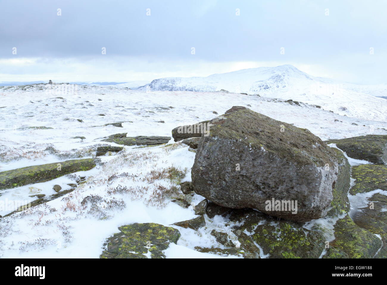 A snow capped Arenig Fawr viewed from the summit of Arenig Fach Stock ...