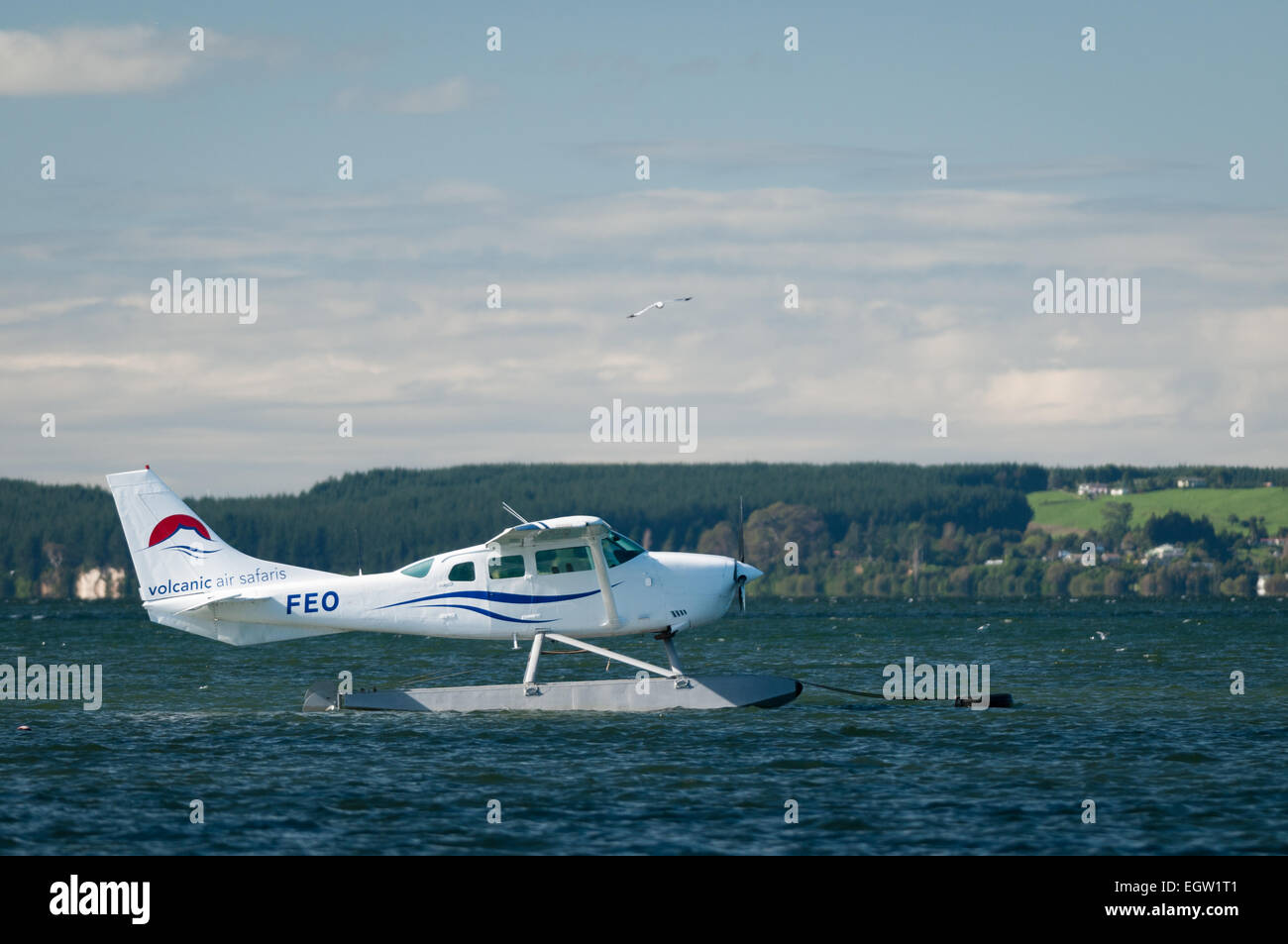 Cessna float plane sea plane hi-res stock photography and images - Alamy