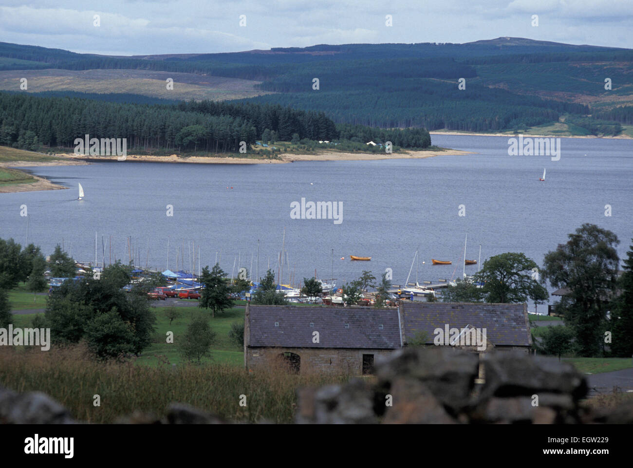 Kielder Water Leaplish waterside Northumberland England UK Stock Photo ...