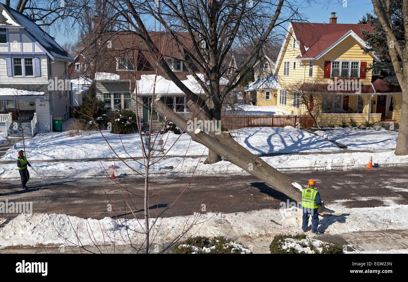 Tree falling down hi-res stock photography and images - Alamy