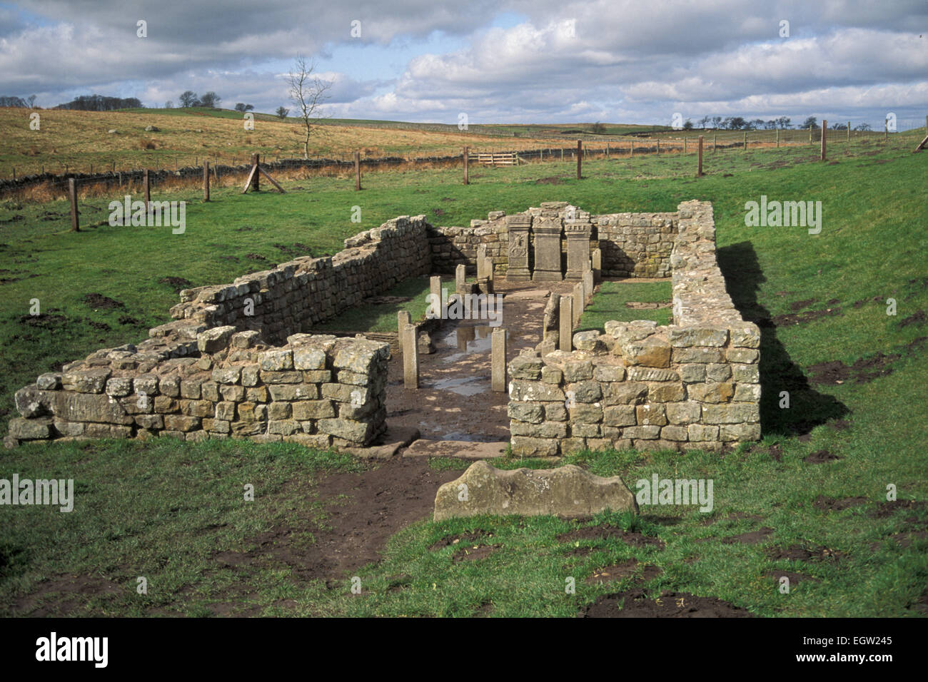 Hadrian's Wall Temple of Mithras, Carrawburgh Northumberland England UK Stock Photo - Alamy