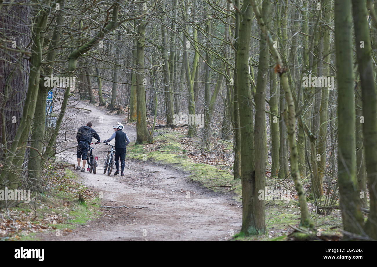Two male mountain bikers push their bikes up a woodland track Stock ...