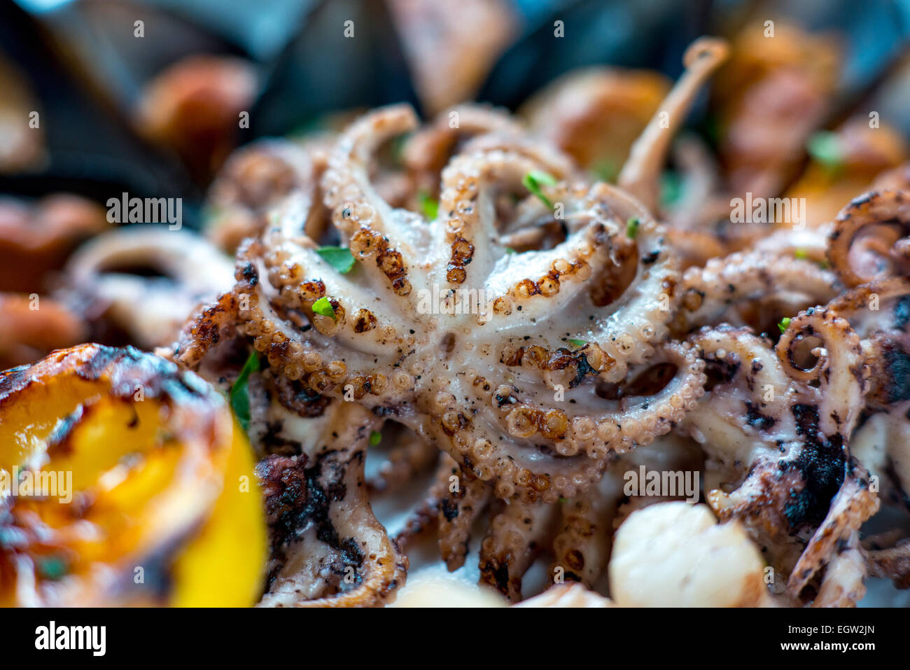 Seafood reastaurant hi-res stock photography and images - Alamy