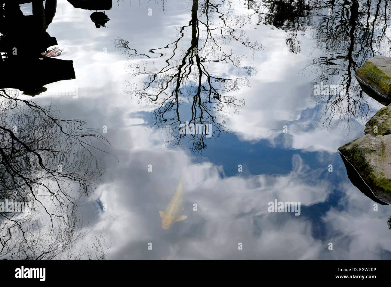 Kyoto garden at holland park hi-res stock photography and images - Alamy