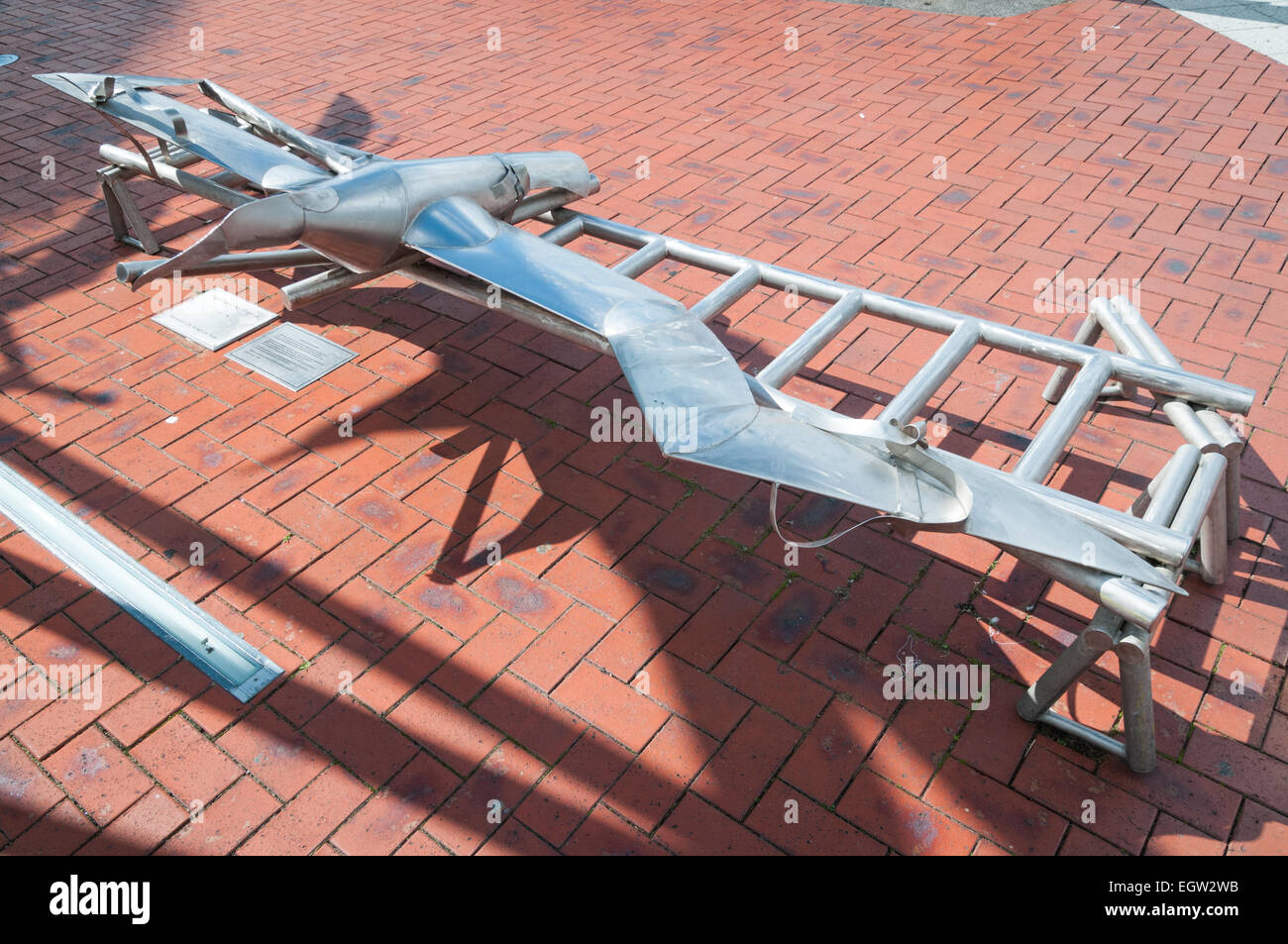 Flight Trainer for Albatross sculpture by Greer Twiss, Quay Street ...