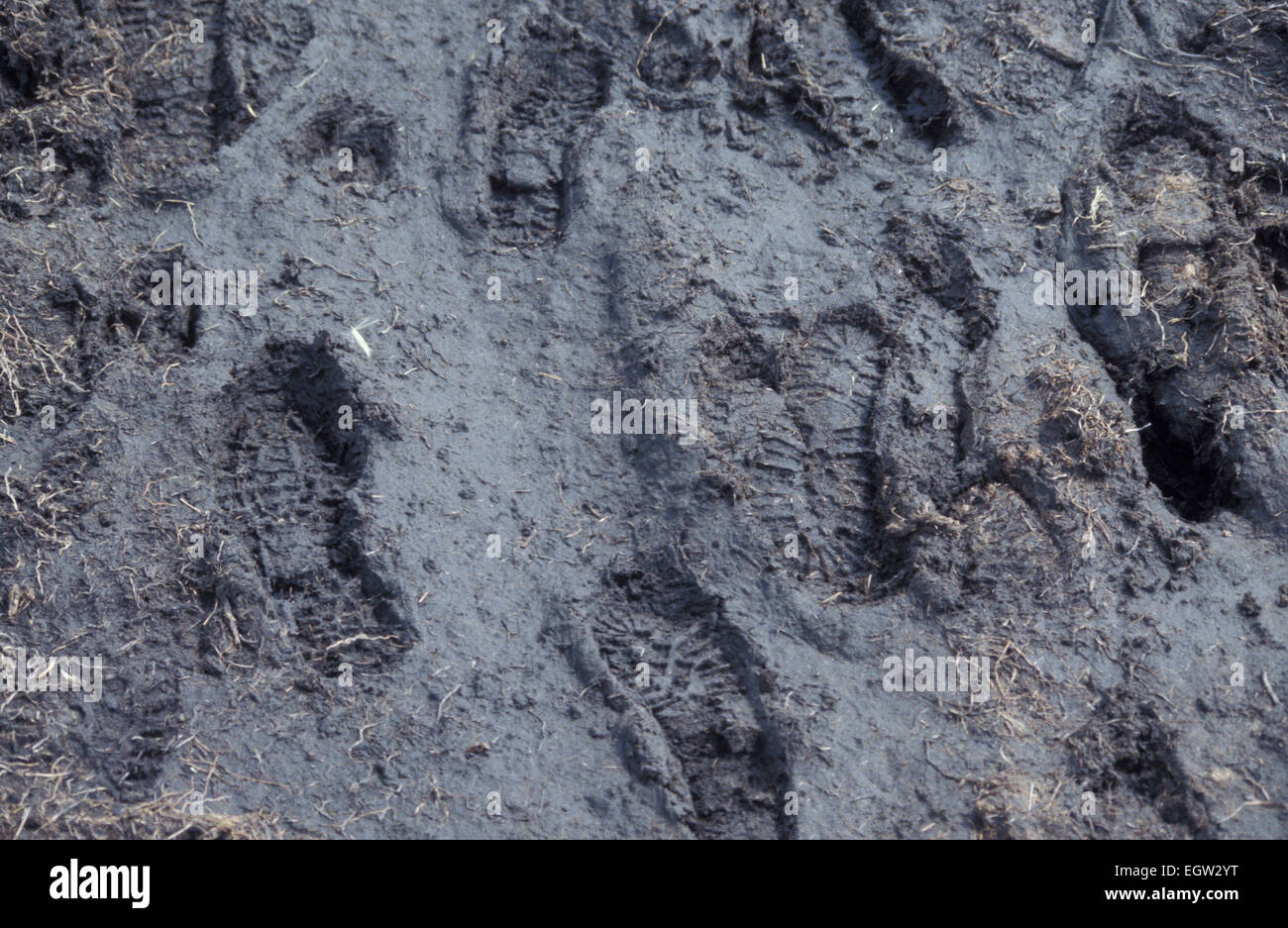 Bootprints in mud hi-res stock photography and images - Alamy