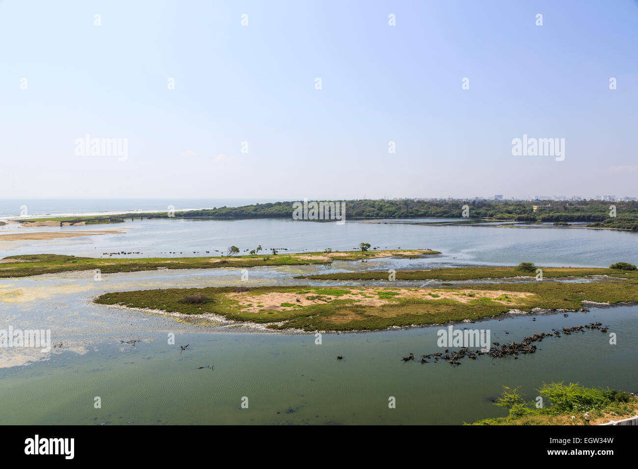 Adyar river hi-res stock photography and images - Alamy