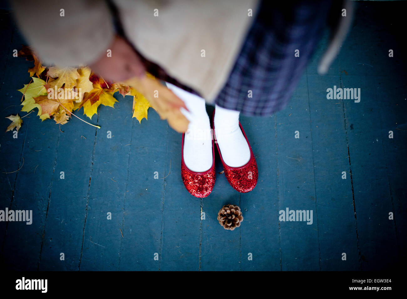 Ruby red slippers hi-res stock photography and images - Alamy