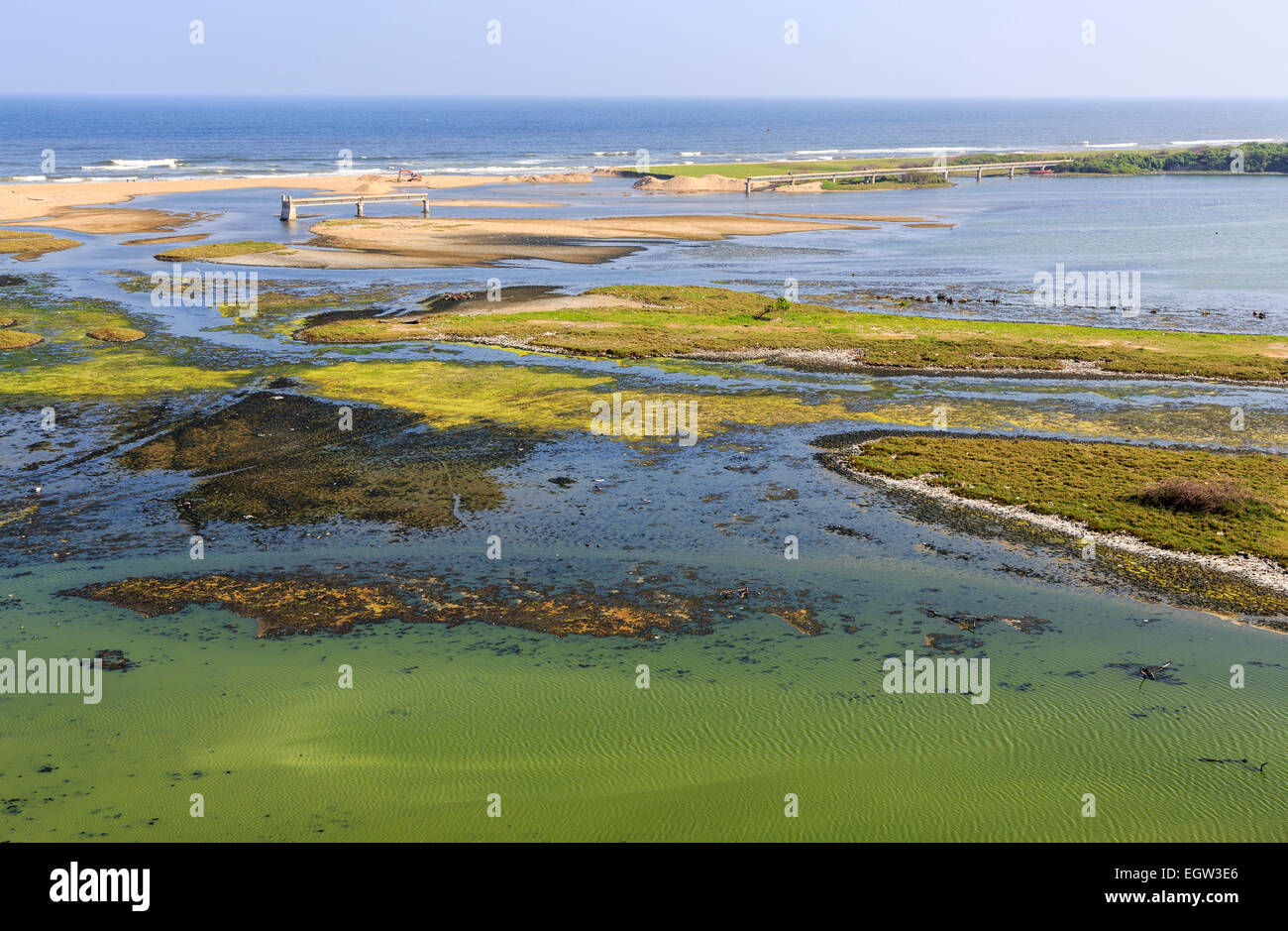 India chennai adyar hi-res stock photography and images - Alamy