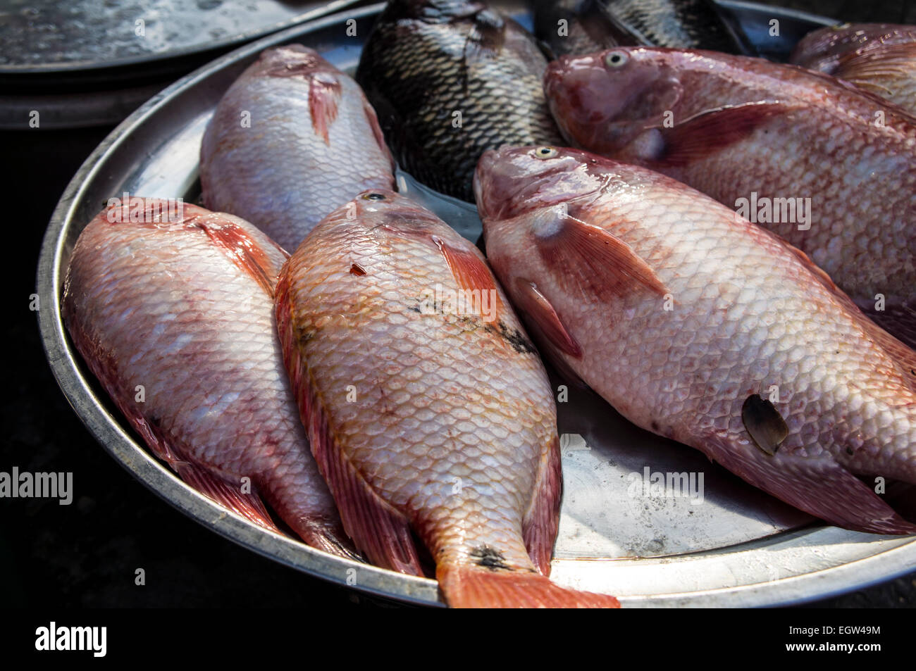 fish seafood snapper red snapper market stall shopping Stock Photo - Alamy