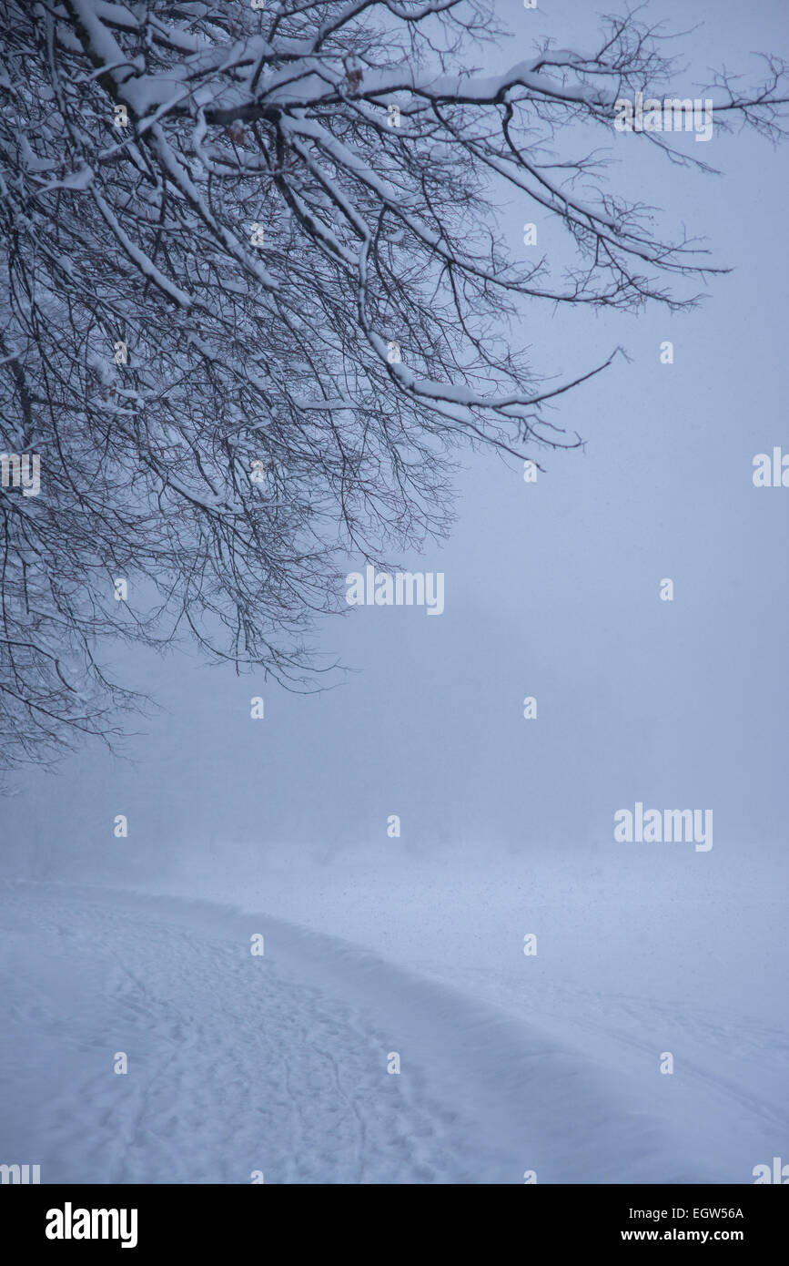 The snowy pathway in the winter park Stock Photo - Alamy