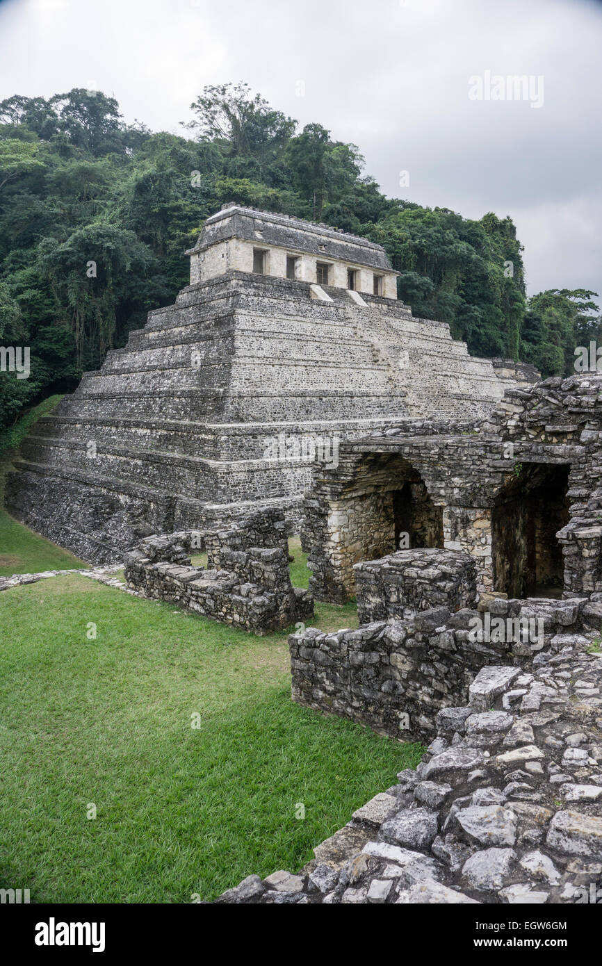 stepped pyramid structure Temple of the Inscriptions seen from grassy ...