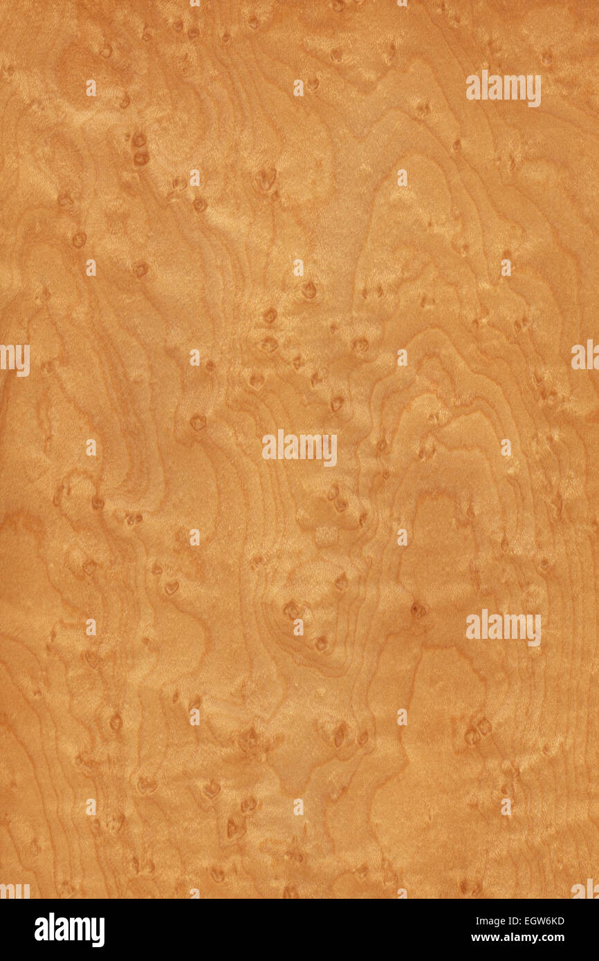 Maple wood texture hi-res stock photography and images - Alamy
