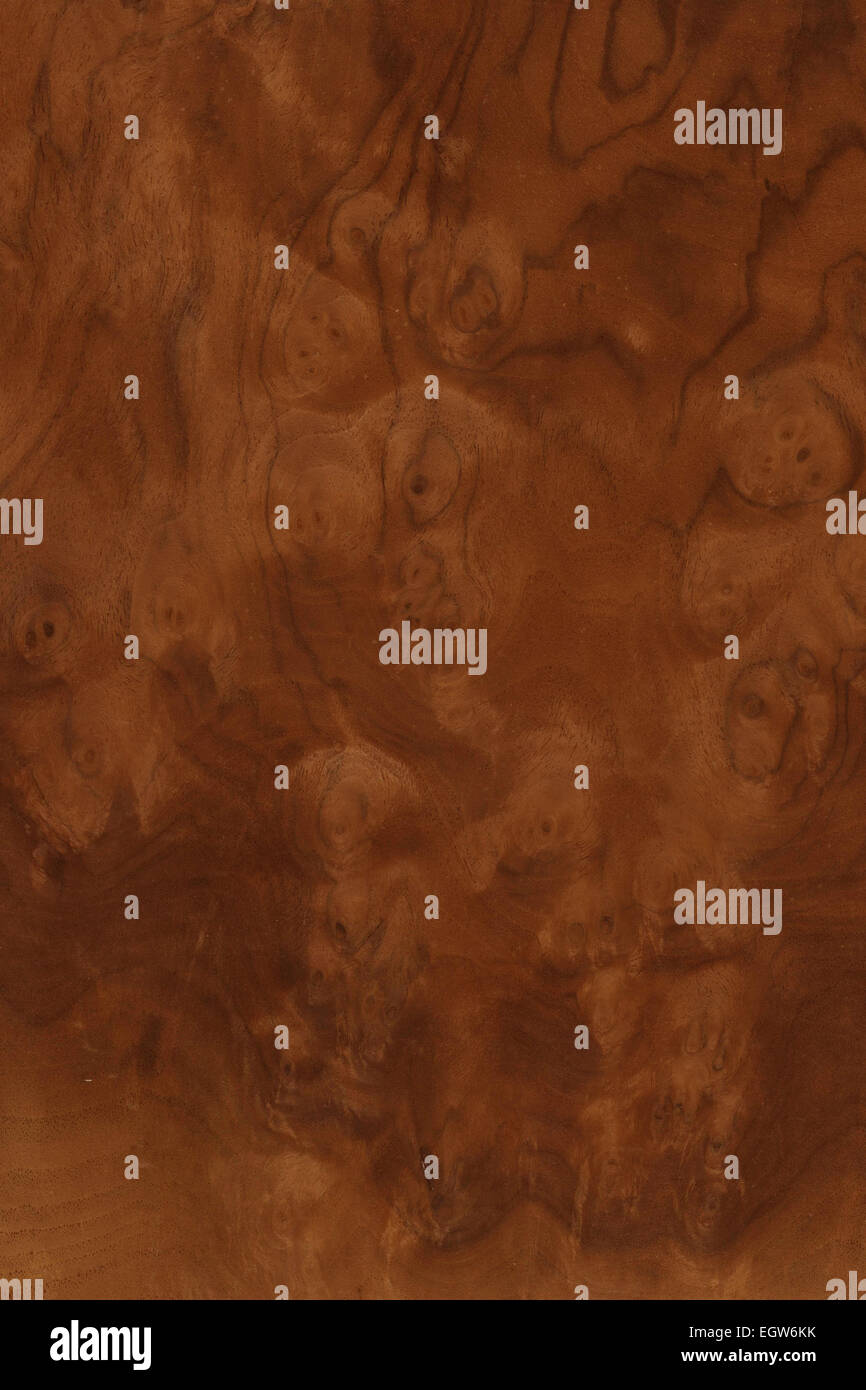 Walnut veneer texture hi-res stock photography and images - Alamy