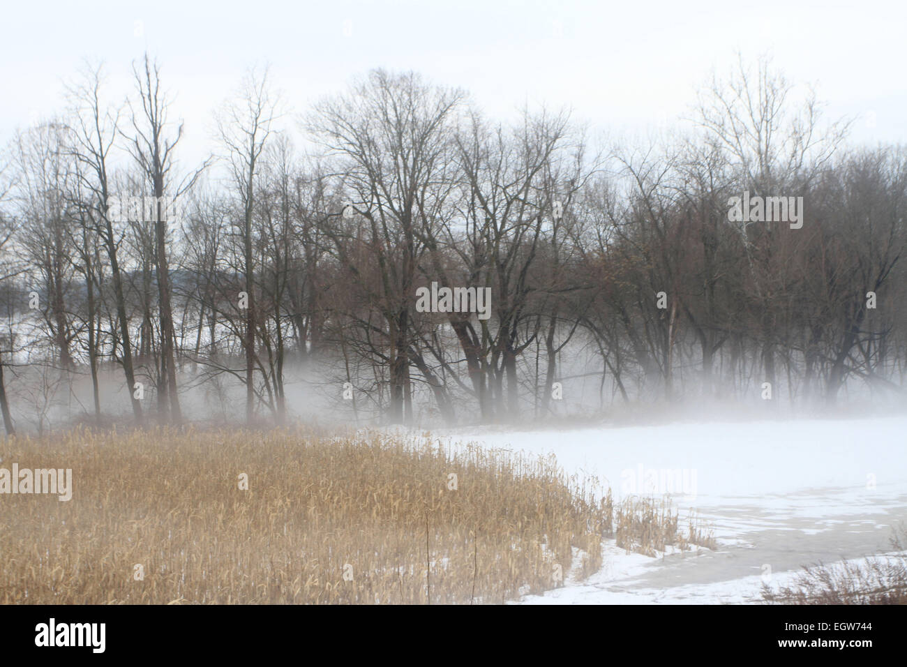 Cornfield snow fog hi-res stock photography and images - Alamy