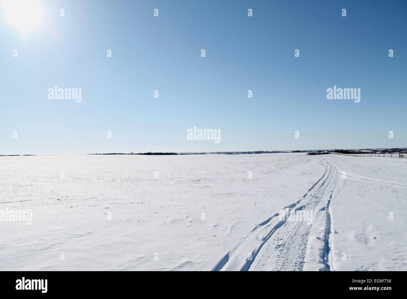 A snowy winter field Stock Photo - Alamy