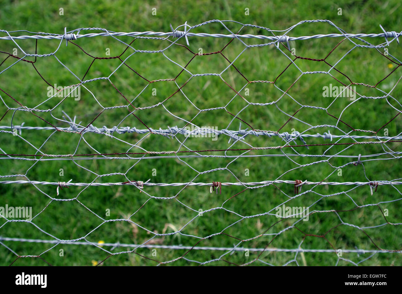 Barbed wire knot hi-res stock photography and images - Alamy