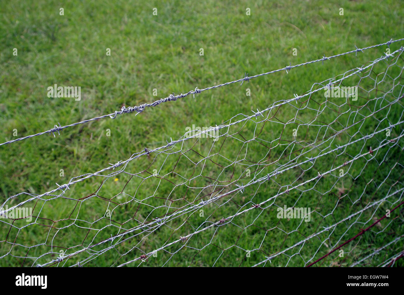 Barbed Wire fence, side angle Stock Photo - Alamy
