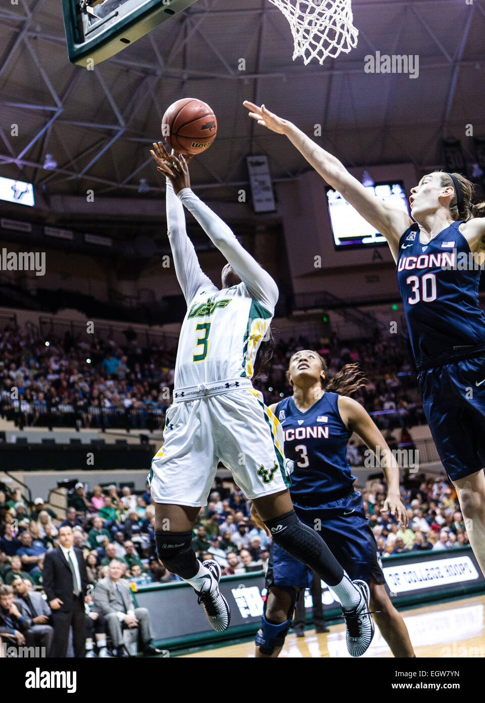 Breanna Stewart Uconn Dunk