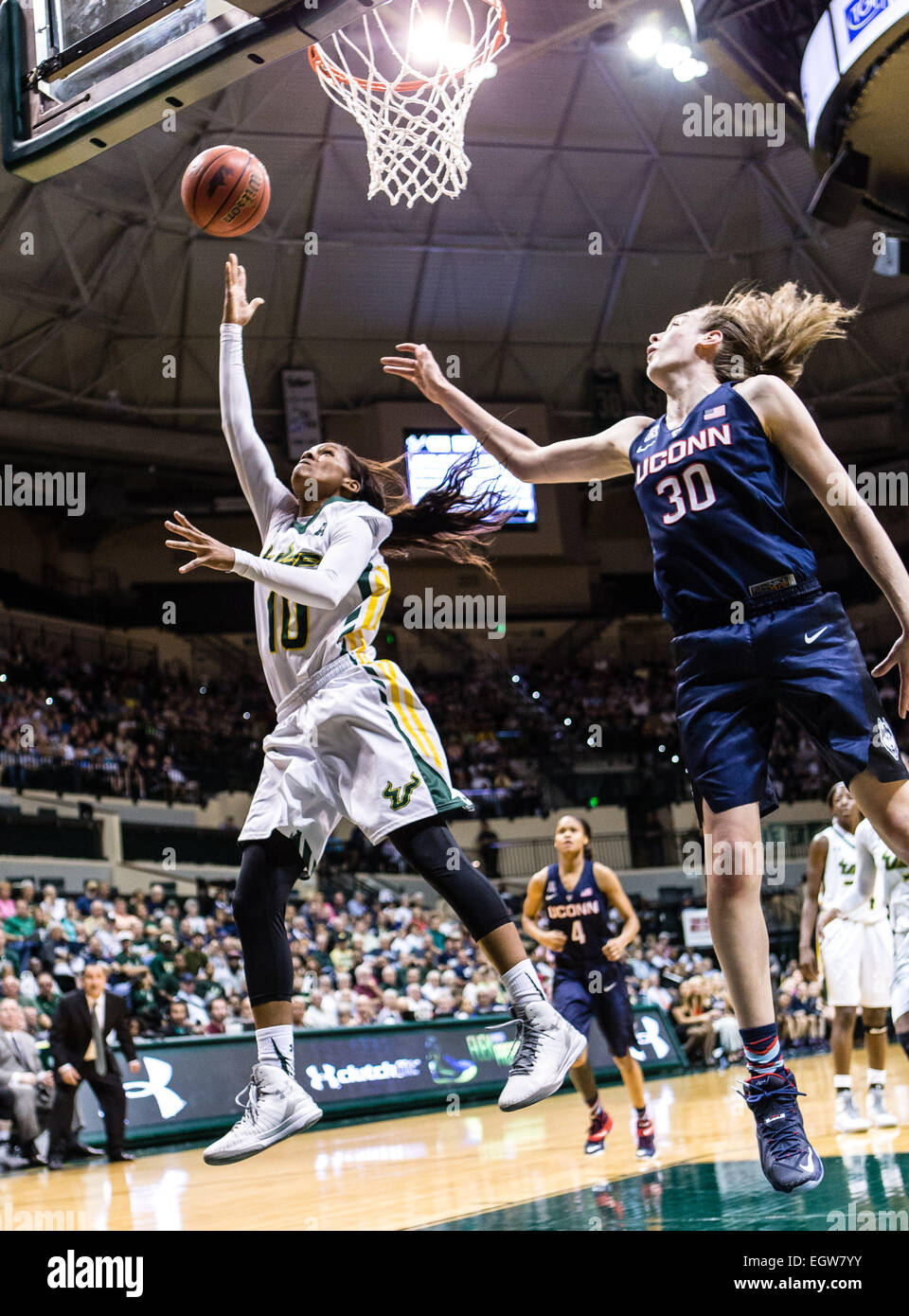 Usf sun dome hi-res stock photography and images - Alamy