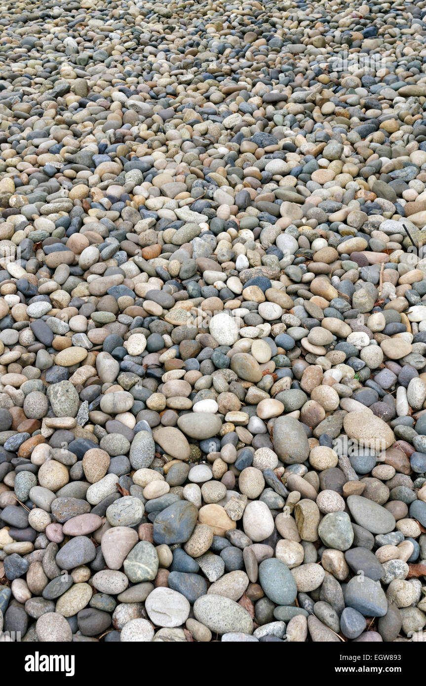 Thousands of multicolored Rounded stones lying on the ground Stock ...