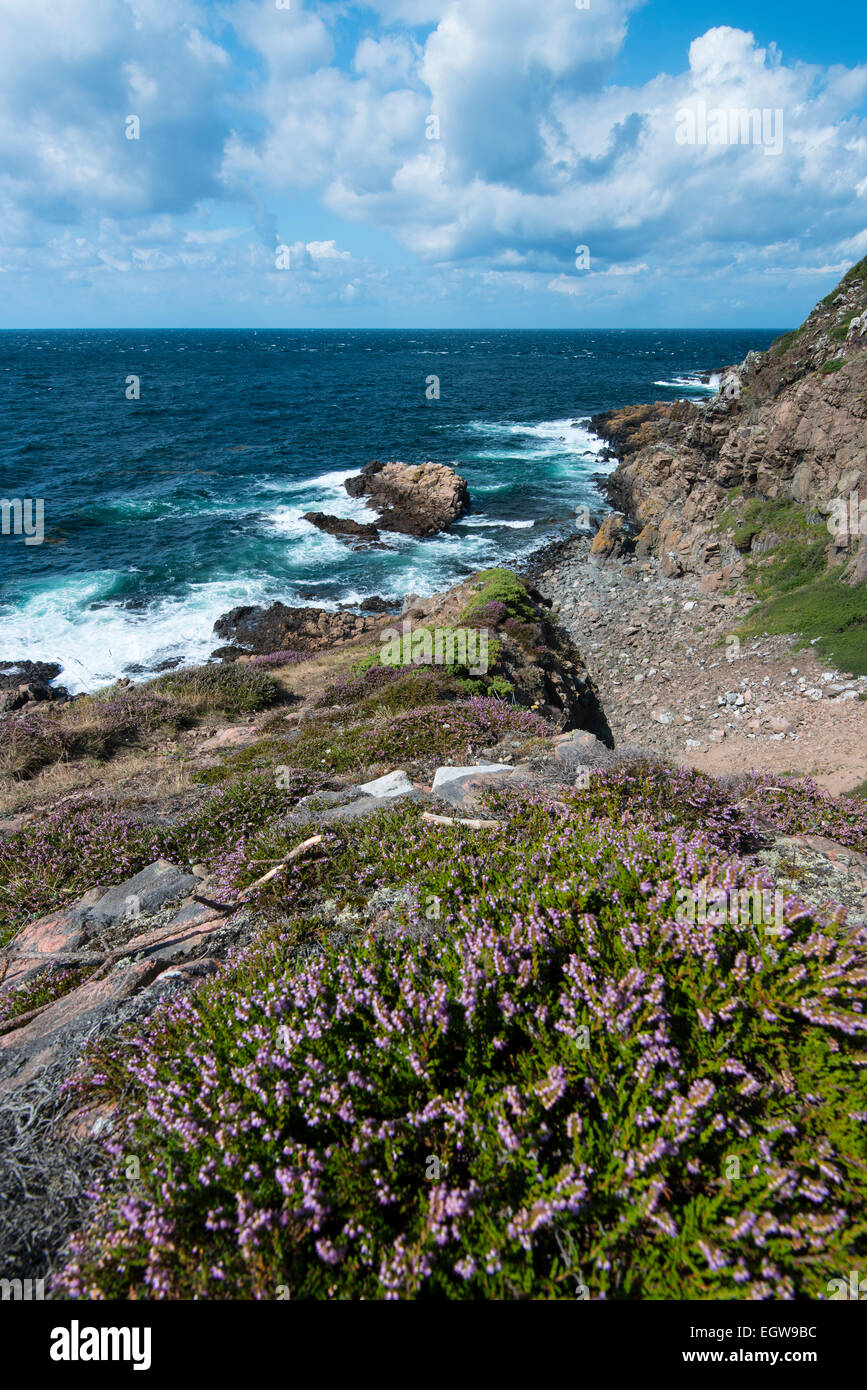 Coast, Kullaberg Nature Reserve, Kullen Peninsula, Höganäs, Mölle ...