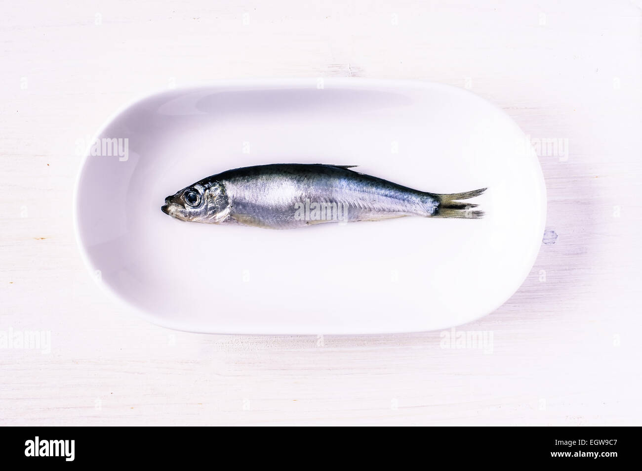 Sprat hi-res stock photography and images - Alamy